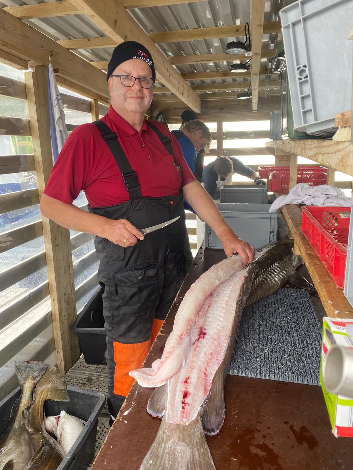 Fisch fachgerecht filetieren lernen